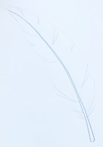 How To Draw A Feather With Color - basicdraw.com
