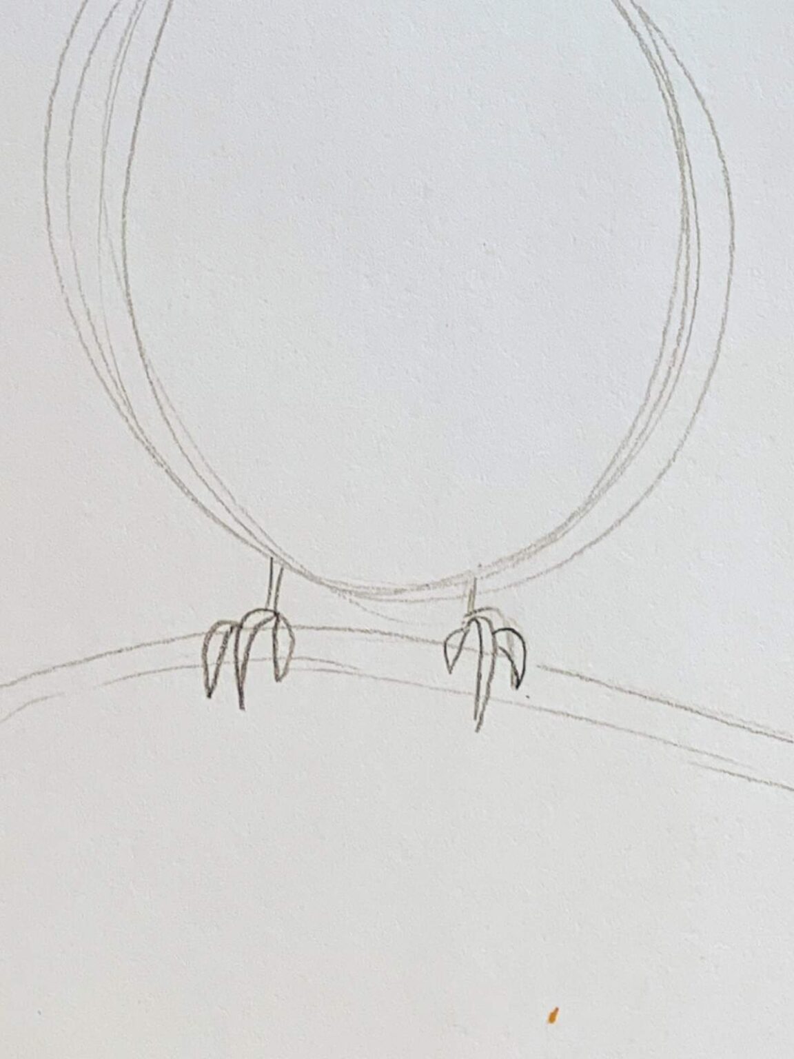 How to Draw a Cardinal Easy Step-By-Step Instructions - basicdraw.com