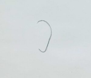 How to Draw an Ear With Shading - basicdraw.com