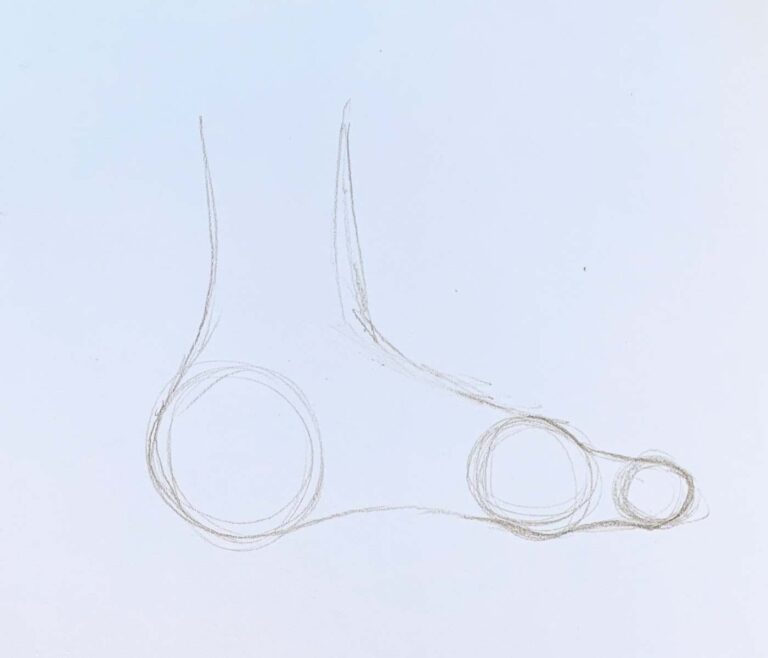 How to draw Feet From Bottom & Side - basicdraw.com