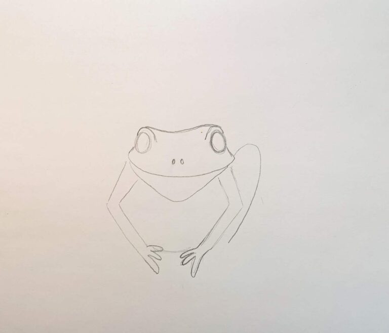 How to Draw a Frog With Face, Legs & Body - basicdraw.com