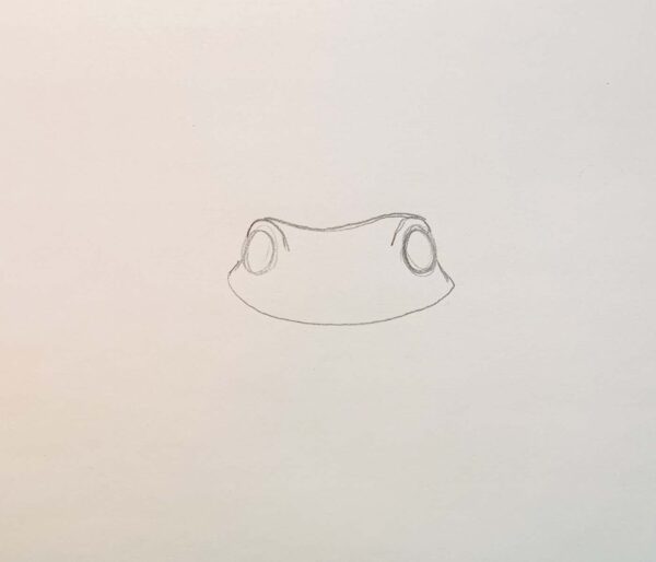 How to Draw a Frog With Face, Legs & Body - basicdraw.com