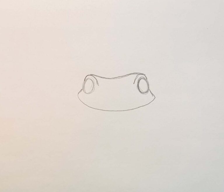 How to Draw a Frog With Face, Legs & Body - basicdraw.com