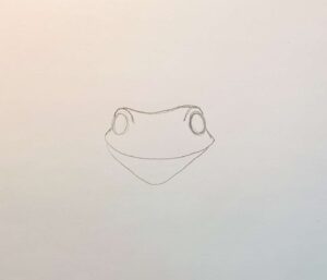 How to Draw a Frog With Face, Legs & Body - basicdraw.com