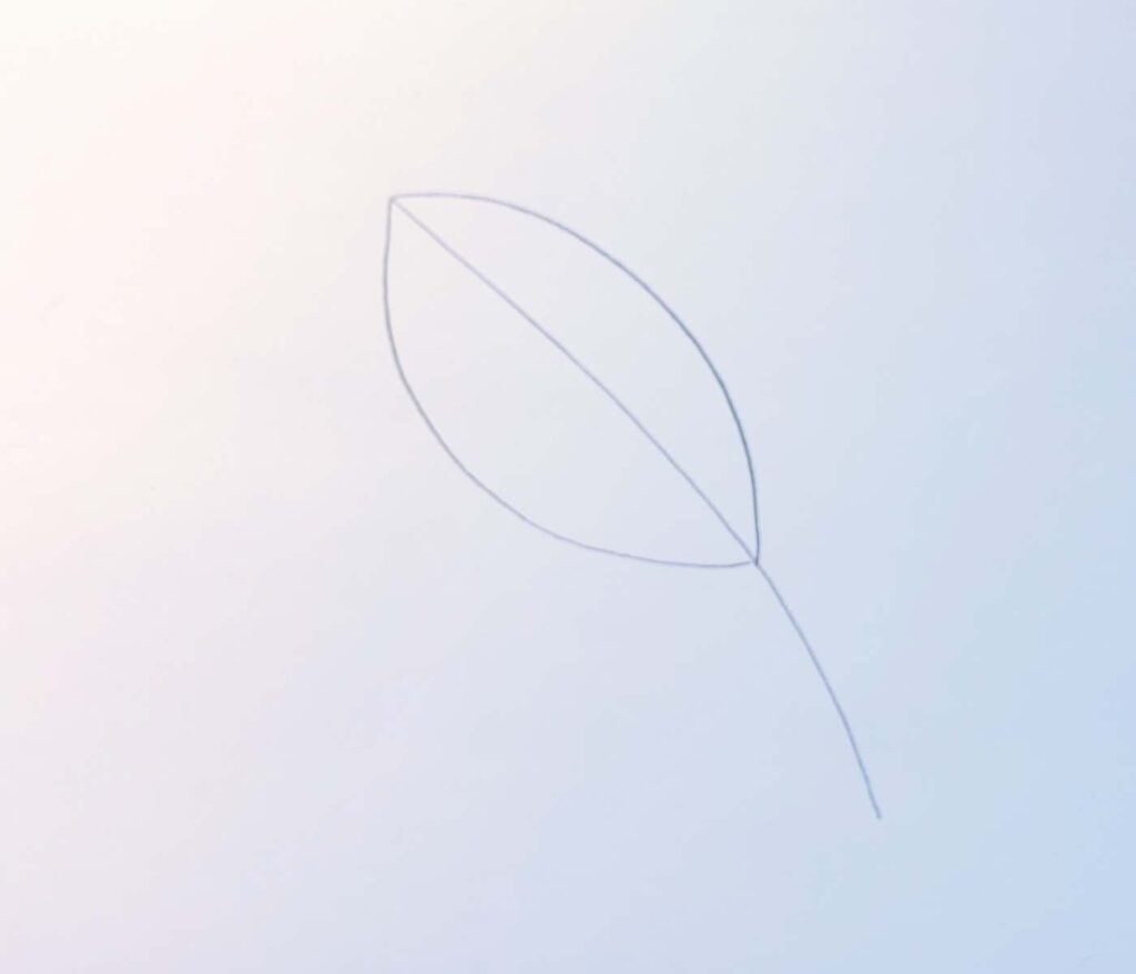 How to Draw a Leaf With Symmetry - basicdraw.com