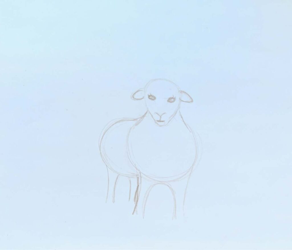 How to Draw a Sheep Easy Step-By-Step - basicdraw.com