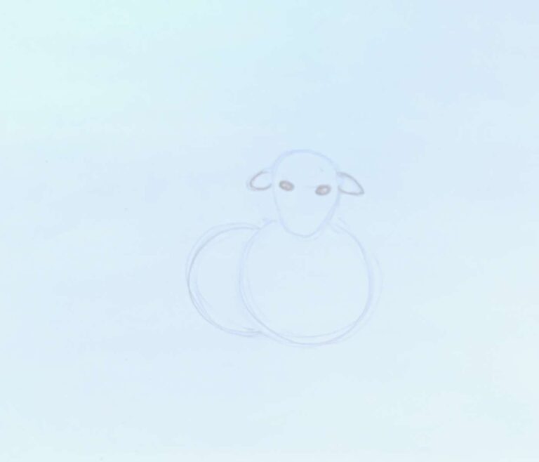 How to Draw a Sheep Easy Step-By-Step - basicdraw.com