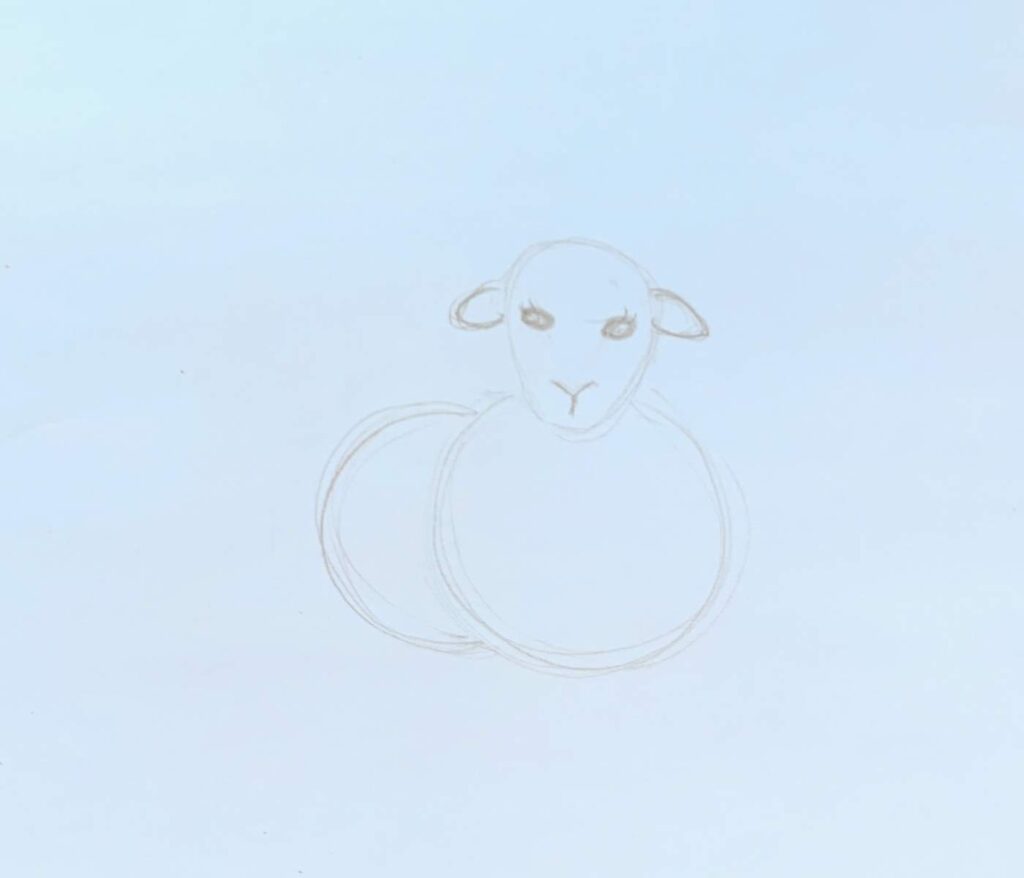 How to Draw a Sheep Easy Step-By-Step - basicdraw.com