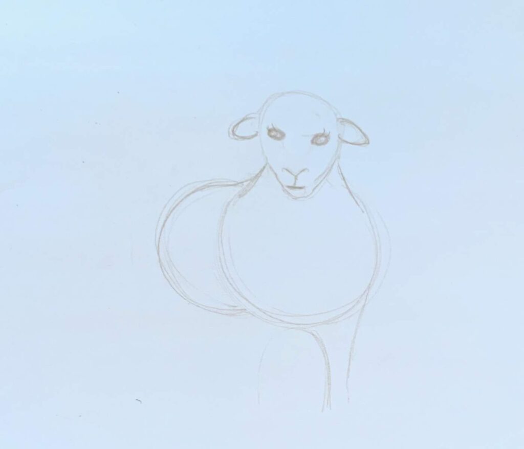 How to Draw a Sheep Easy Step-By-Step - basicdraw.com