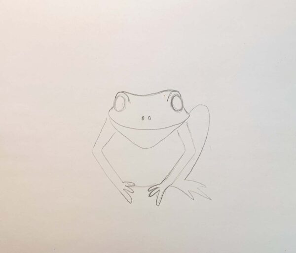 How to Draw a Frog With Face, Legs & Body - basicdraw.com