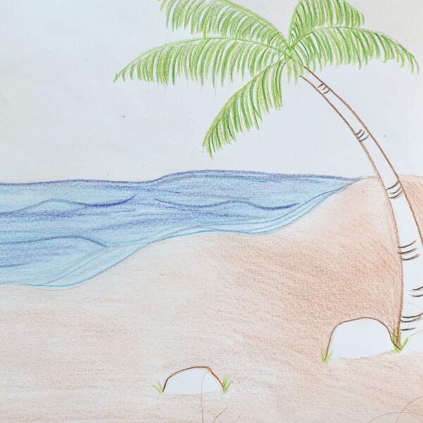 How to Draw a Beach Scene With A Palm Tree - basicdraw.com