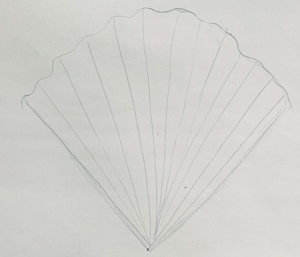 How To Draw A Seashell With Color - basicdraw.com