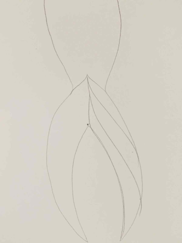 How to Draw a Mermaid Tail With Flowing Scales - basicdraw.com